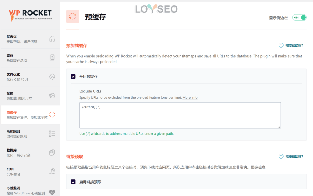 如何使用WP Rocket加速WordPress网站 - LOYSEO