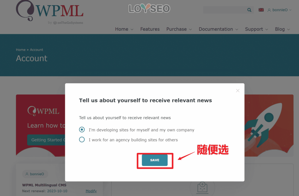 WPML教程，36分钟入门：如何实现网站多语言以获取更多客户 - LOYSEO