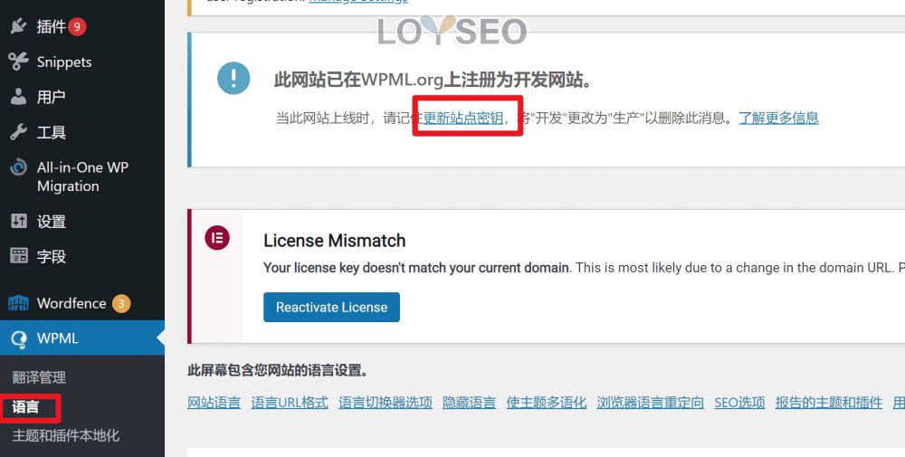 WPML教程，36分钟入门：如何实现网站多语言以获取更多客户 - LOYSEO